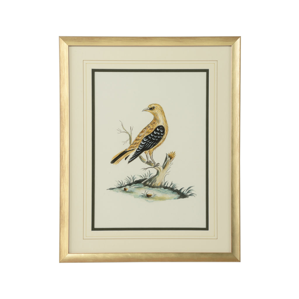 Cain Bird Print – James Farmer